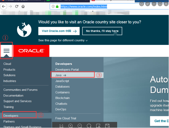 Ubuntu安装jdk-8u201-linux-x64.tar.gz_jdk-8u201-linux-x64.tar.gz 下载-CSDN博客