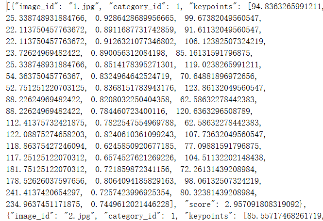 Alphapose配置与运行中的问题_alphapose推理卡住-CSDN博客