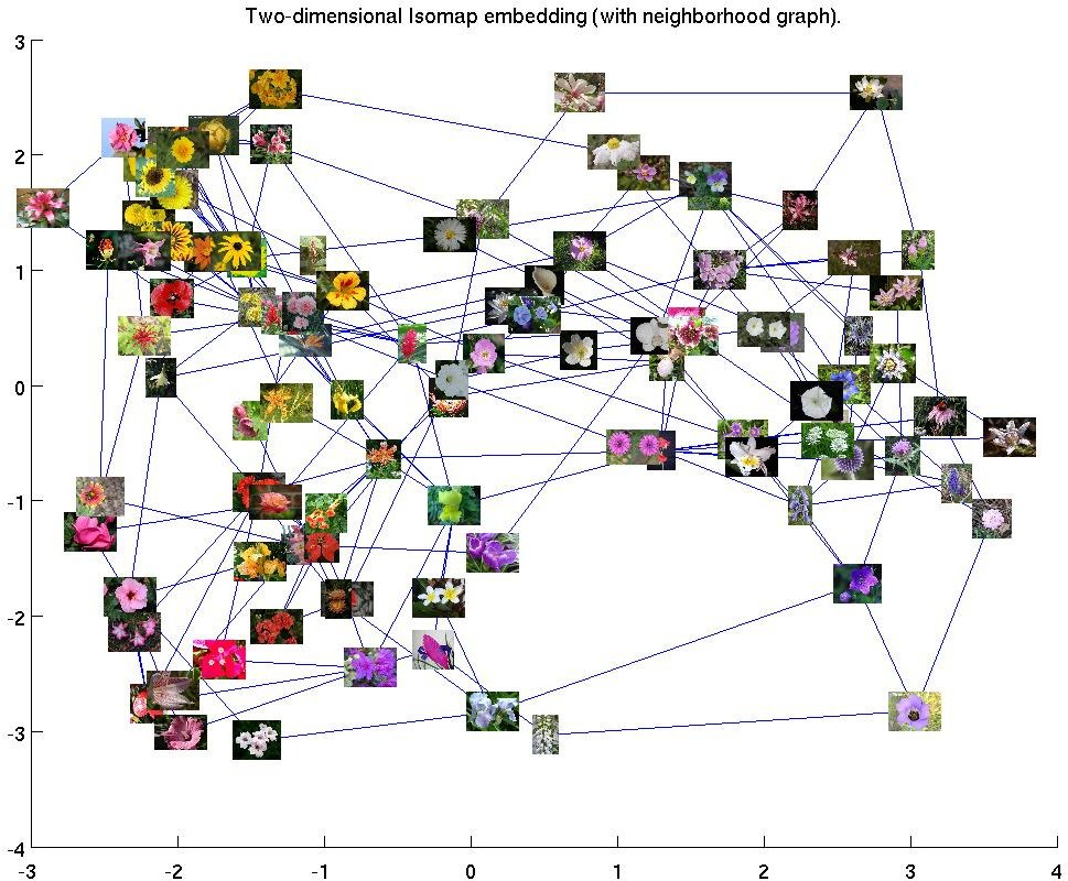 Keras实现预训练网络vgg16迁移学习——102flowers分类【100行代码训练and预测】vgg16用于102分类案例 Csdn博客