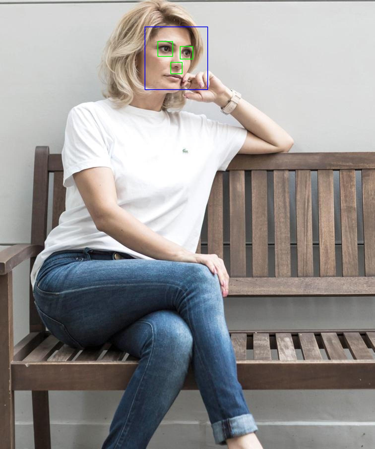 OpenCV 中的 Haar 级联检测_cv2.data.haarcascades-CSDN博客