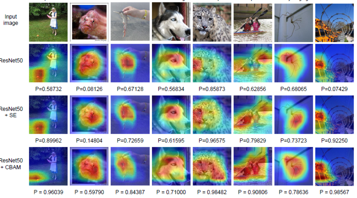 《CBAM: Convolutional Block Attention Module》论文代码解析_ITOMG的博客-CSDN博客