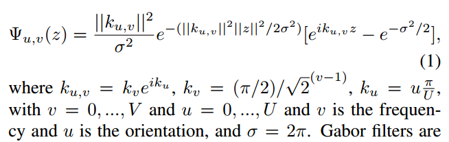 论文阅读：Gabor Convolutional Networks-CSDN博客