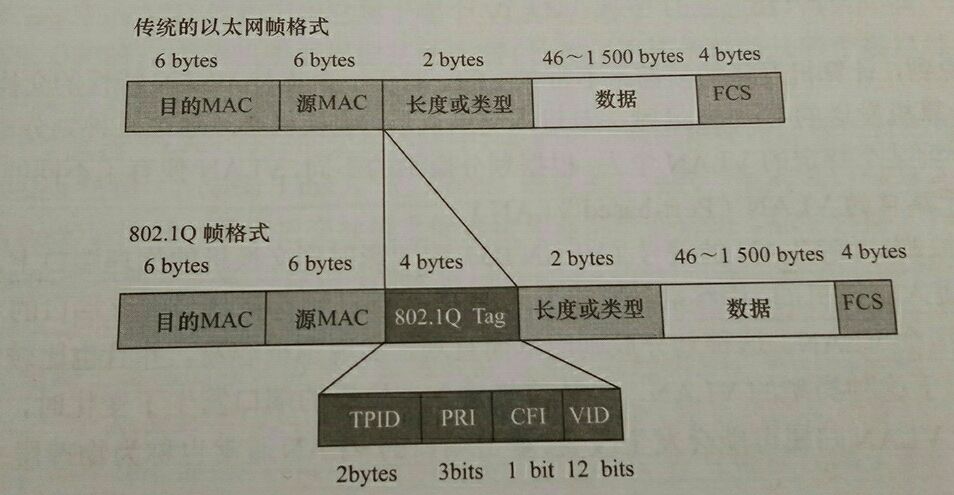 802.1Q帧的格式 与 VLAN的类型-CSDN博客