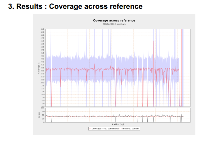 Qualimap 对比对好的排序后的bam文件的统计分析-CSDN博客