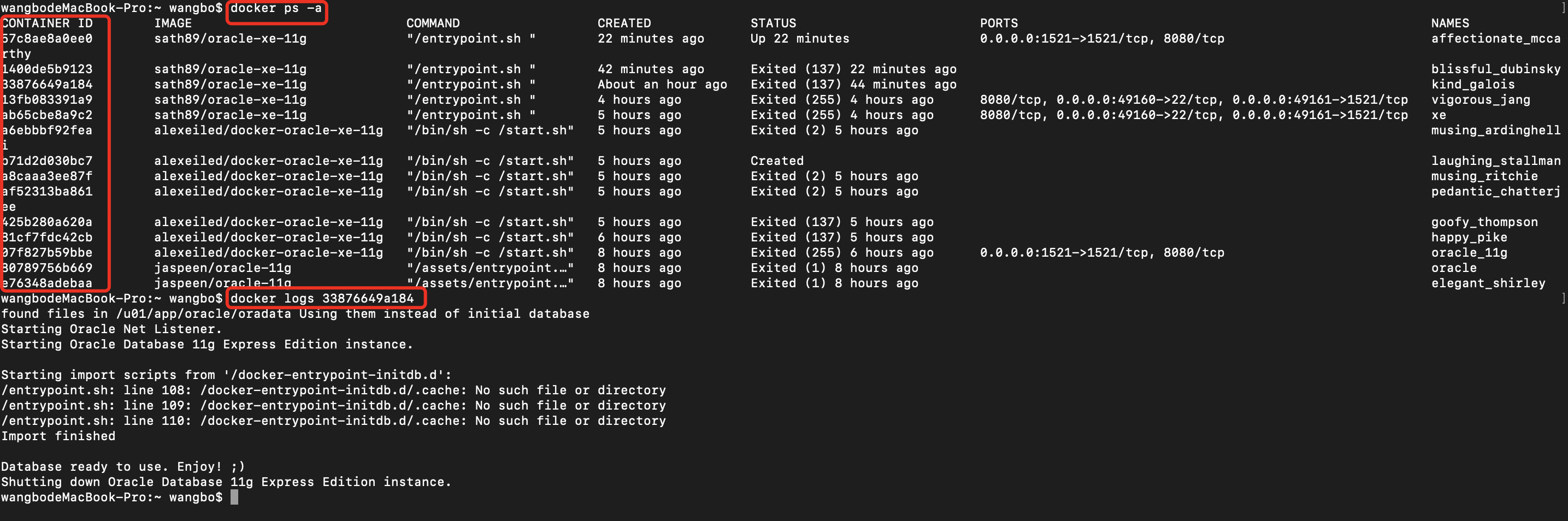 Mac Windows 通过docker安装oracle 11g（持久化完整版） Docker Oracle10g 持久化 Csdn博客