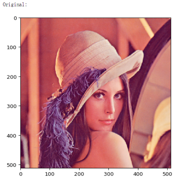 imgaug数据增强神器：第一章 加载和增强图像_imgaug官网-CSDN博客