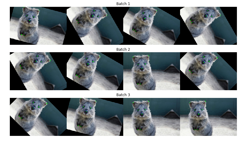 imgaug数据增强神器：第二章 随机模式和确定模式_随机增强方式-CSDN博客