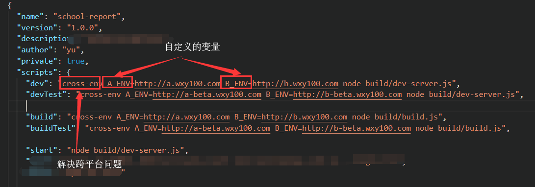 vue2.0项目中，npm配置环境变量_npm run dev 添加自定义参数-CSDN博客