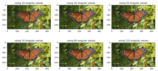 SVD在图像压缩上的应用（基于matlab和python)_matlab svd 降噪-CSDN博客