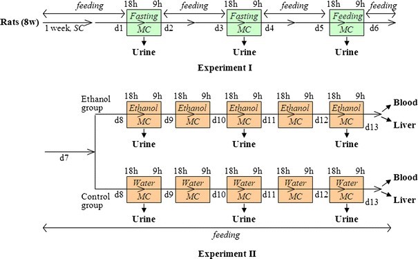 基于GC - MS的代谢组学研究揭示:SD大鼠和Wistar大鼠之间存在系统的代谢差异及乙醇灌胃反应差异_氯苯丙氨酸内标-CSDN博客