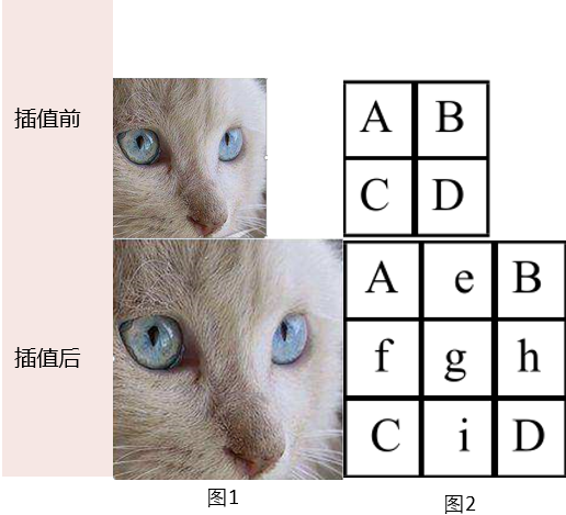 图像插值算法概览及代码实现nedi插值 Csdn博客 