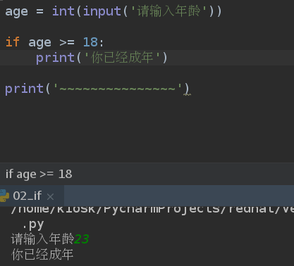 python中if语句的使用_python if-CSDN博客