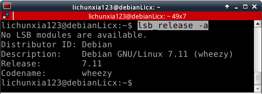 查看Debian版本_debian lsb_release-CSDN博客