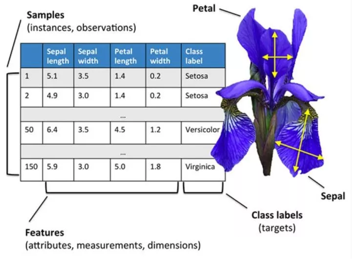 Iris(鸢尾花) 数据集-机器学习入门_iris machine learning-CSDN博客