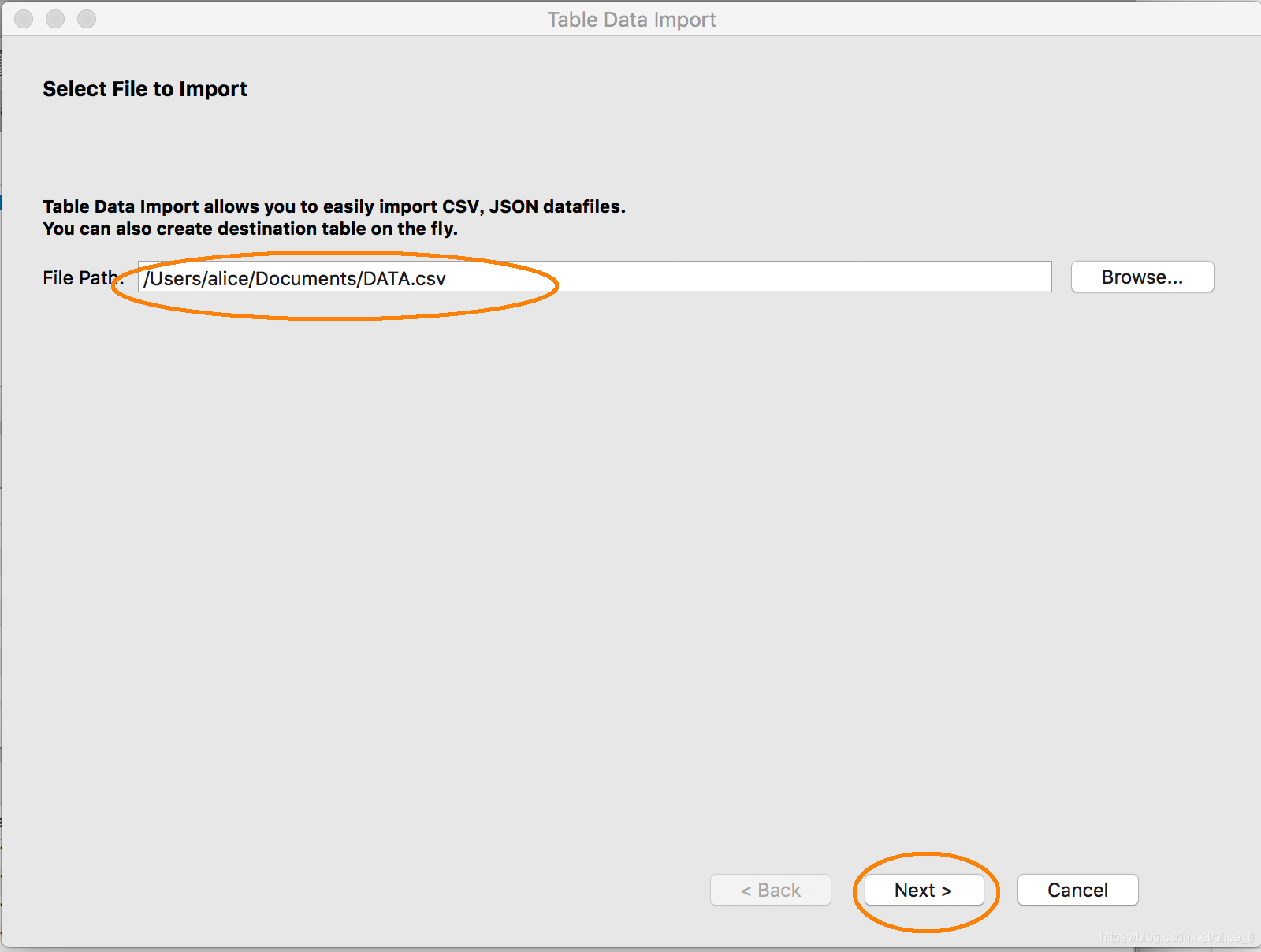 数据库:mysql Workbench导入excel数据mysql Workbench导入excel数据导入成功后在哪里查看 Csdn博客
