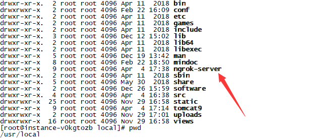 linux服务器搭建ngrok服务-实现内网穿透_linxu部署ngrok-CSDN博客