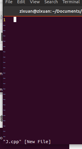 ACM / ICPC竞赛环境（Ubuntu）Vim设置_icpc ubuntu-CSDN博客