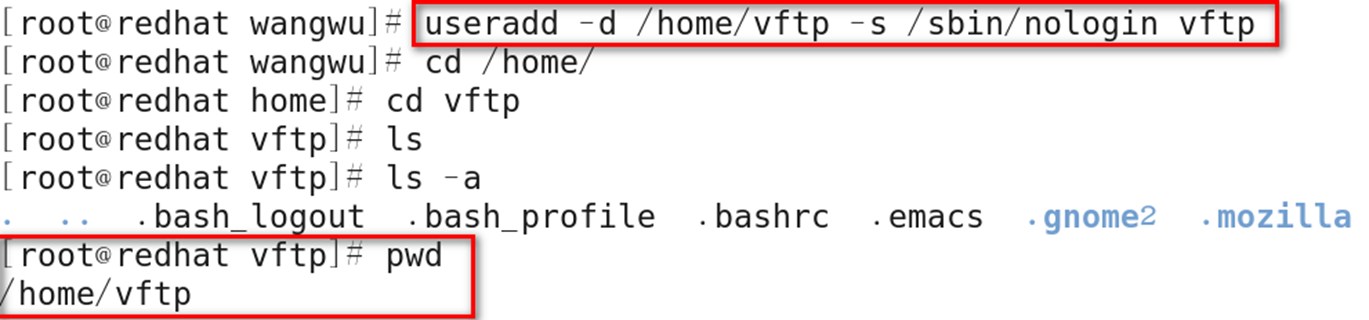 Linux环境下搭建FTP服务器，建立虚拟用户_linux中ftp虚拟用户实验-CSDN博客