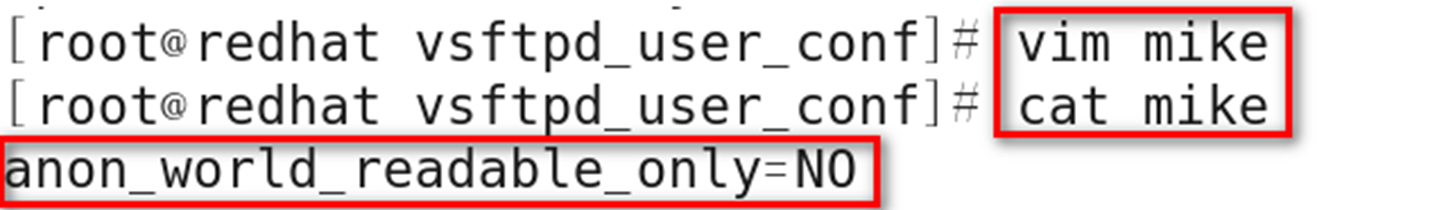 Linux环境下搭建FTP服务器，建立虚拟用户_linux中ftp虚拟用户实验-CSDN博客
