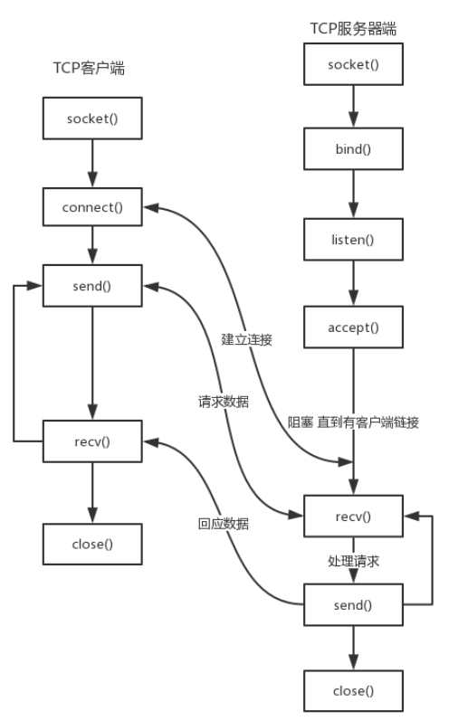socket通讯原理及实现(C语言实现)_socket.h-CSDN博客