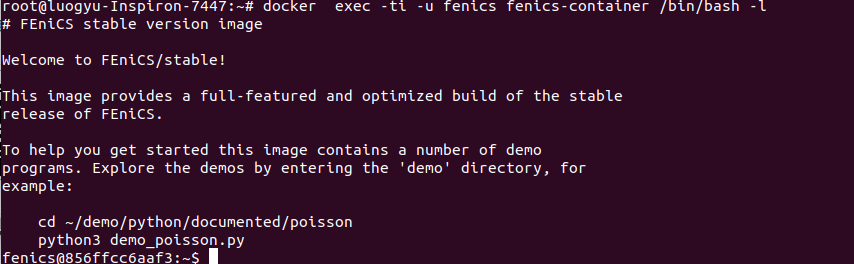 Docker的 的Fenics 镜像_docker安装fenics-CSDN博客