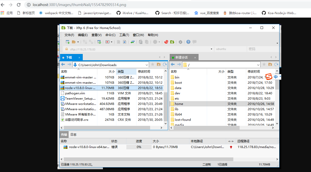 koa框架koa-static配置静态目录获取图片_koa配置静态目录访问图片-CSDN博客