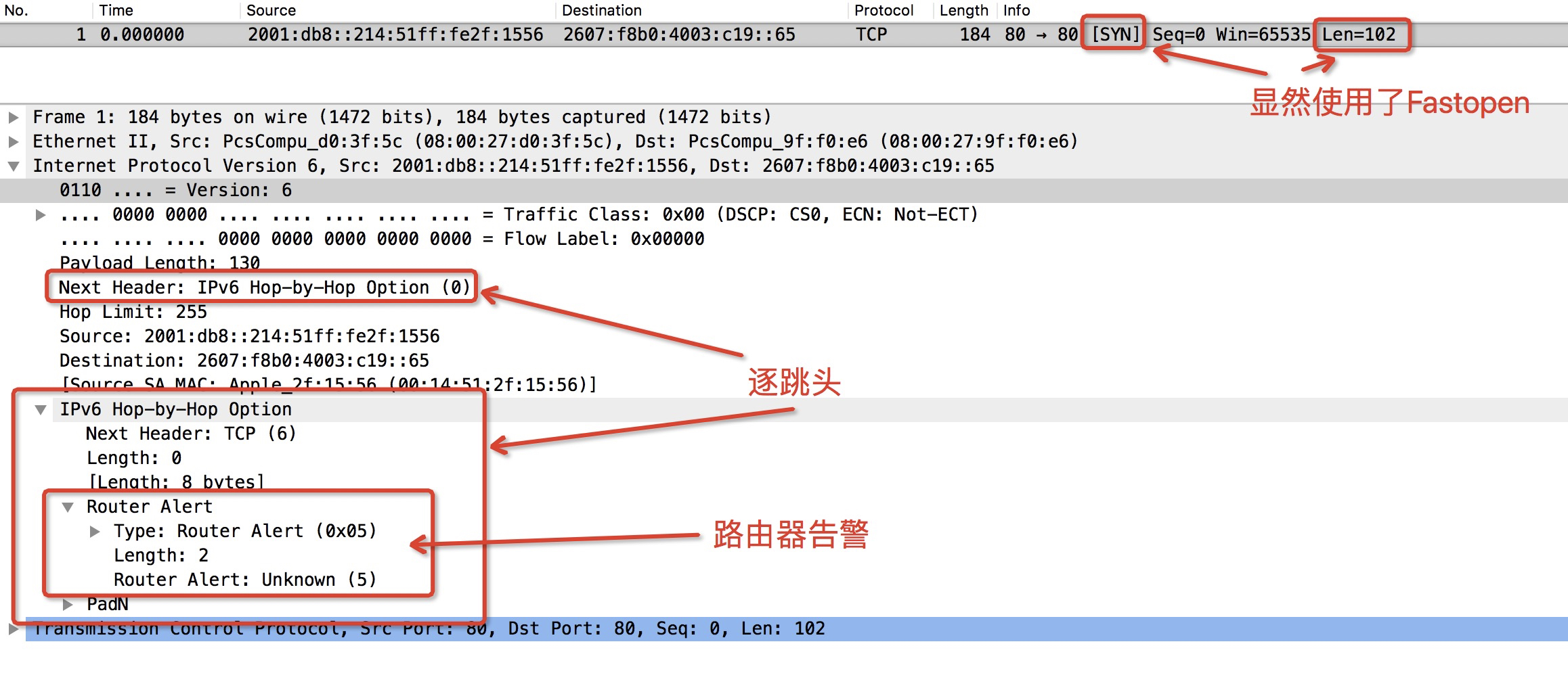 体会一下hop-by-hop逐跳头中的路由器告警选项(Router Alert Option)的玩法_hop by hop-CSDN博客