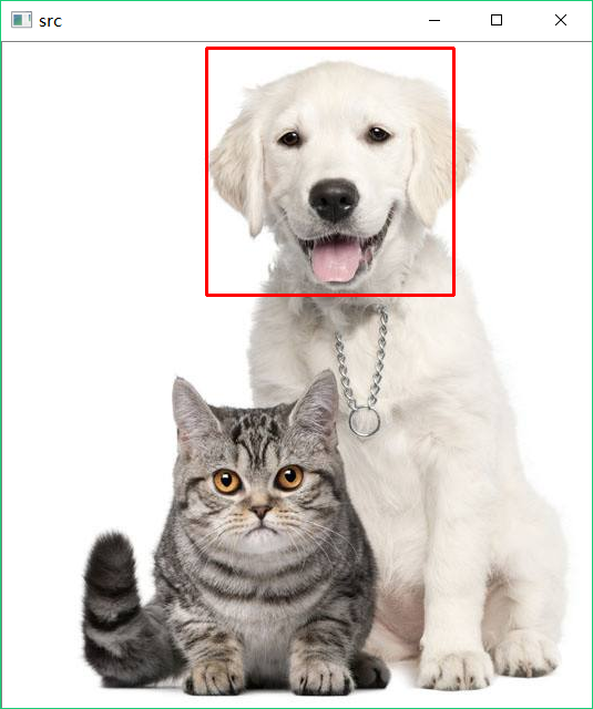 OpenCV | 训练识别狗的分类器过程详解_opencv训练详解-CSDN博客