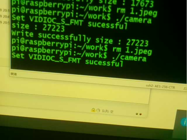 视频编解码类型MJPEG数据格式介绍 - 程序员大本营