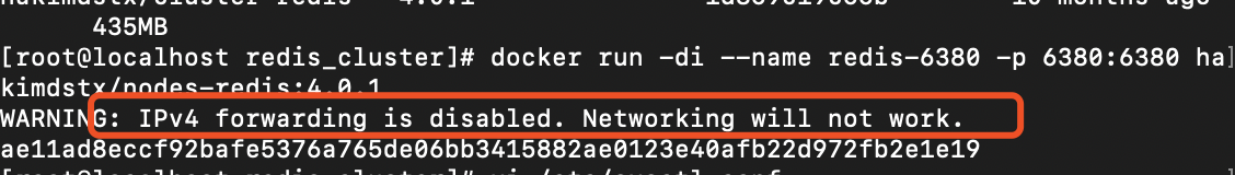 SpringBoot连接redis集群:Could not retrieve cluster information. CLUSTER NODES returned with error ...