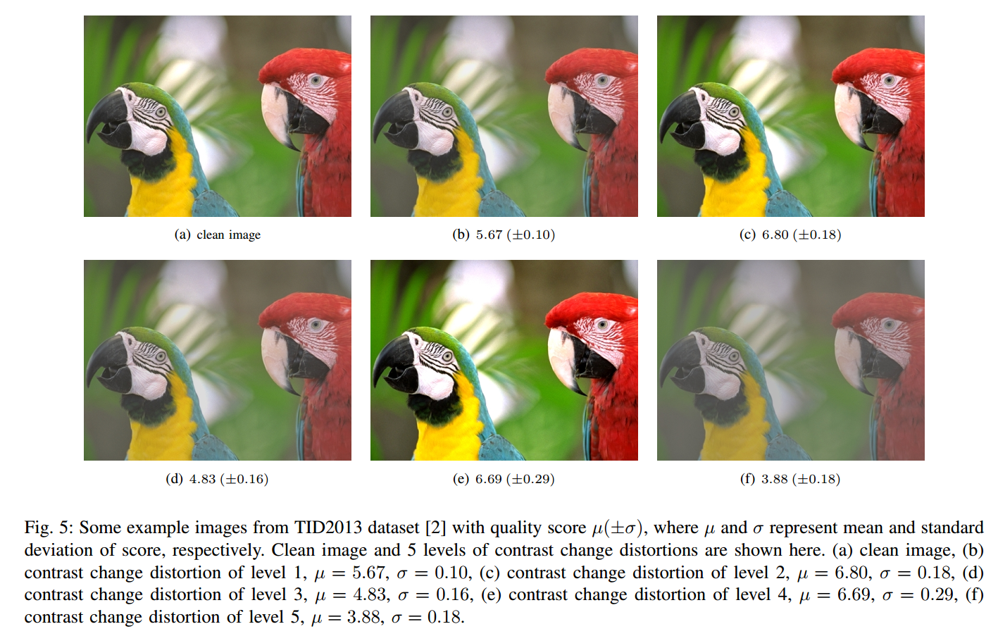NIMA: Neural Image Assessment_nima模型训练-CSDN博客