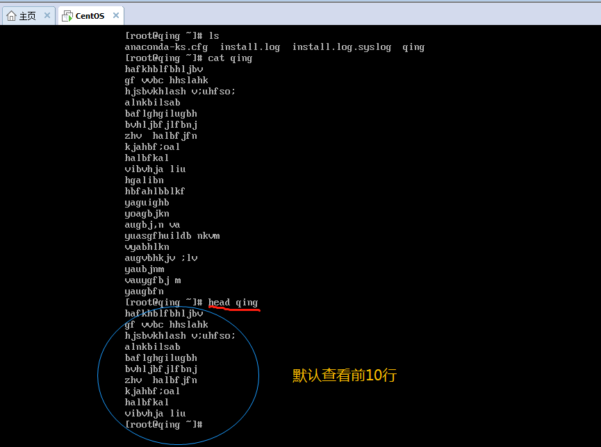 Linux文件阅读的命令_linux阅读文件-CSDN博客