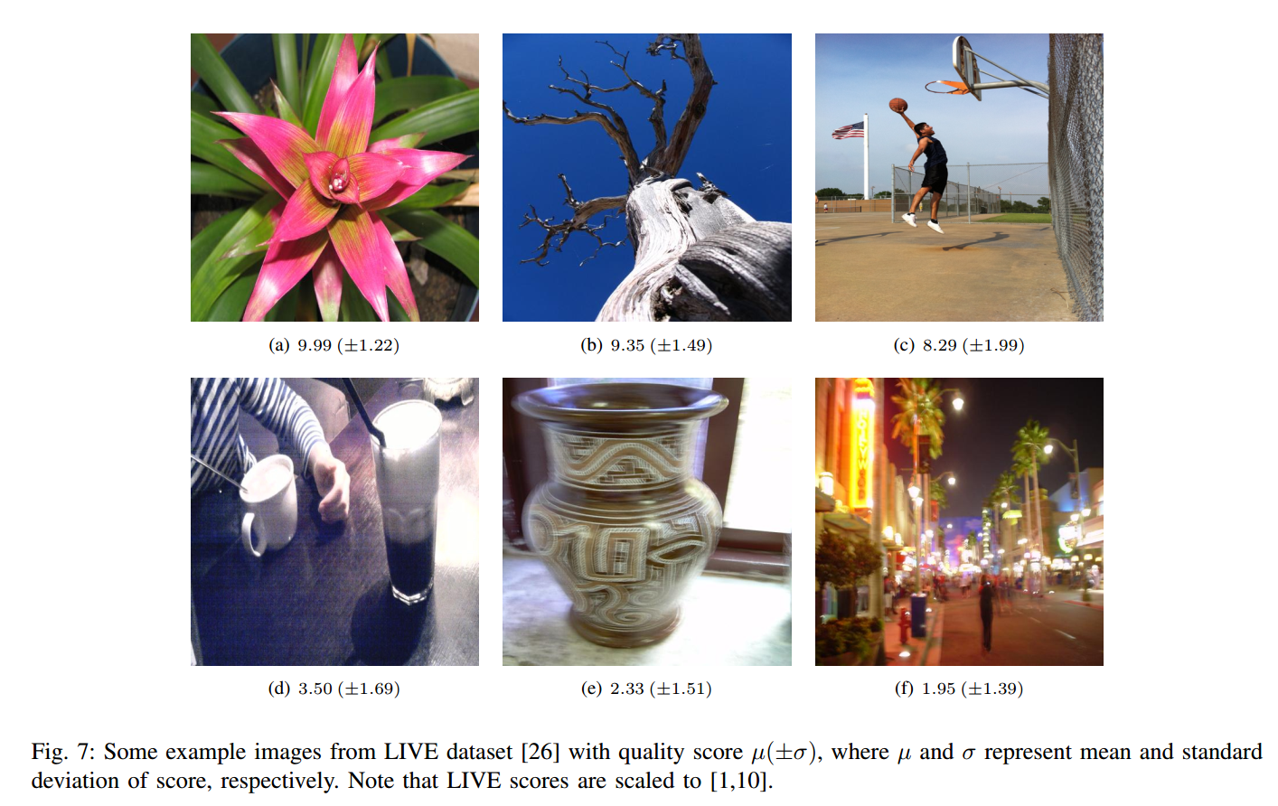 NIMA: Neural Image Assessment_nima模型训练-CSDN博客