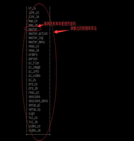 利用工具的sql注入实战傀儡sql Csdn博客 