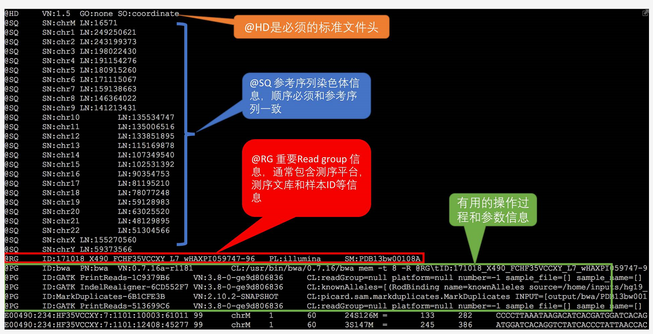 SAM和BAM格式详解_bam and sam-CSDN博客