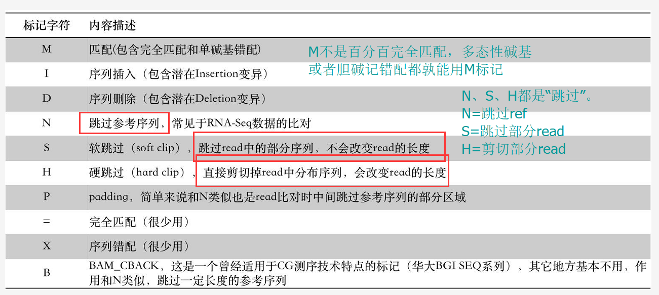 SAM和BAM格式详解_bam and sam-CSDN博客