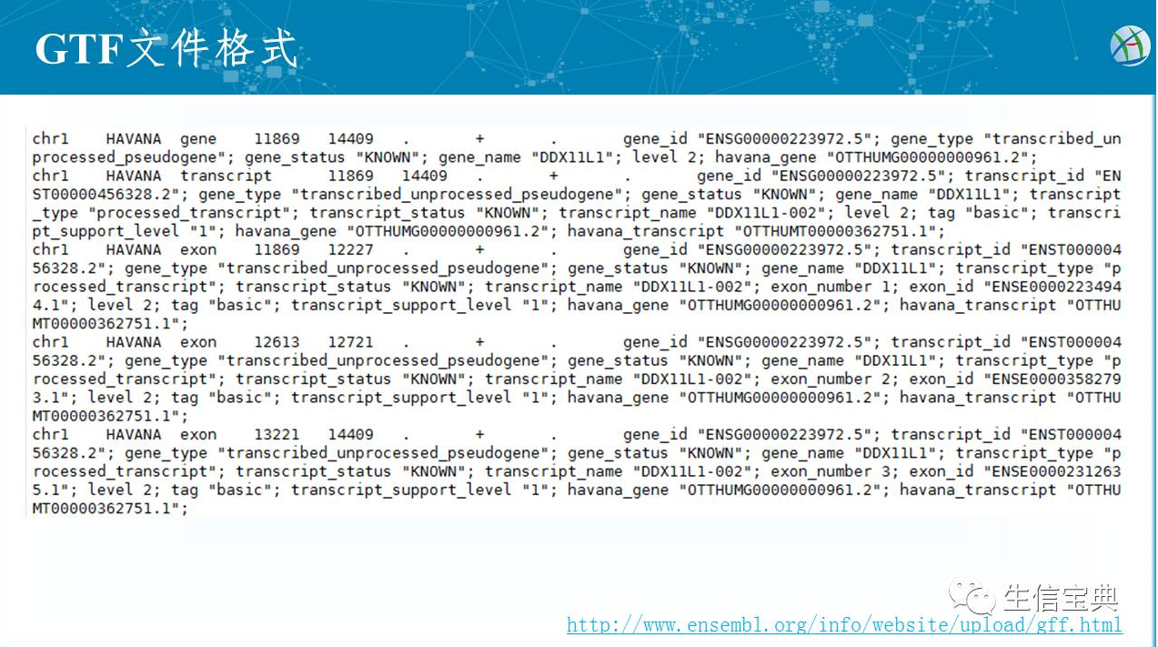GTF/GFF文件格式解读和转换_注释基因组文件如何看-CSDN博客