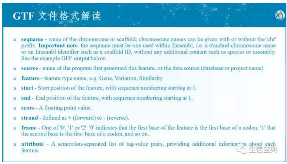 GTF/GFF文件格式解读和转换_注释基因组文件如何看-CSDN博客