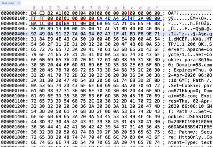 网络抓包文件格式(.pcap/.cap)剖析-CSDN博客