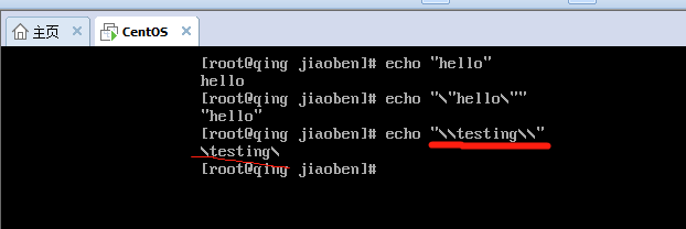 Linux系统Shell脚本中的echo命令_linux脚本echo-CSDN博客
