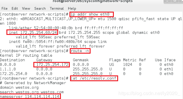 初学Linux之网络配置(IP、NETMASK、GATEWAY、DNS、DHCP)-CSDN博客