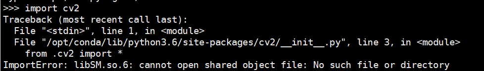 Docker内安装Opencv缺失libglib2.0-0及libSM.so.6_docker下opencv安装缺少插件-CSDN博客