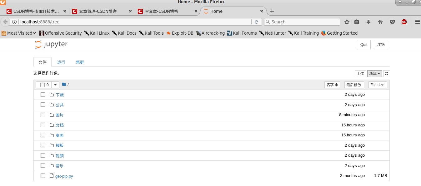 Kali2018.3 安装和配置Jupyter Notebook和SSH服务_kali notebook-CSDN博客