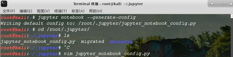 Kali2018.3 安装和配置Jupyter Notebook和SSH服务_kali notebook-CSDN博客