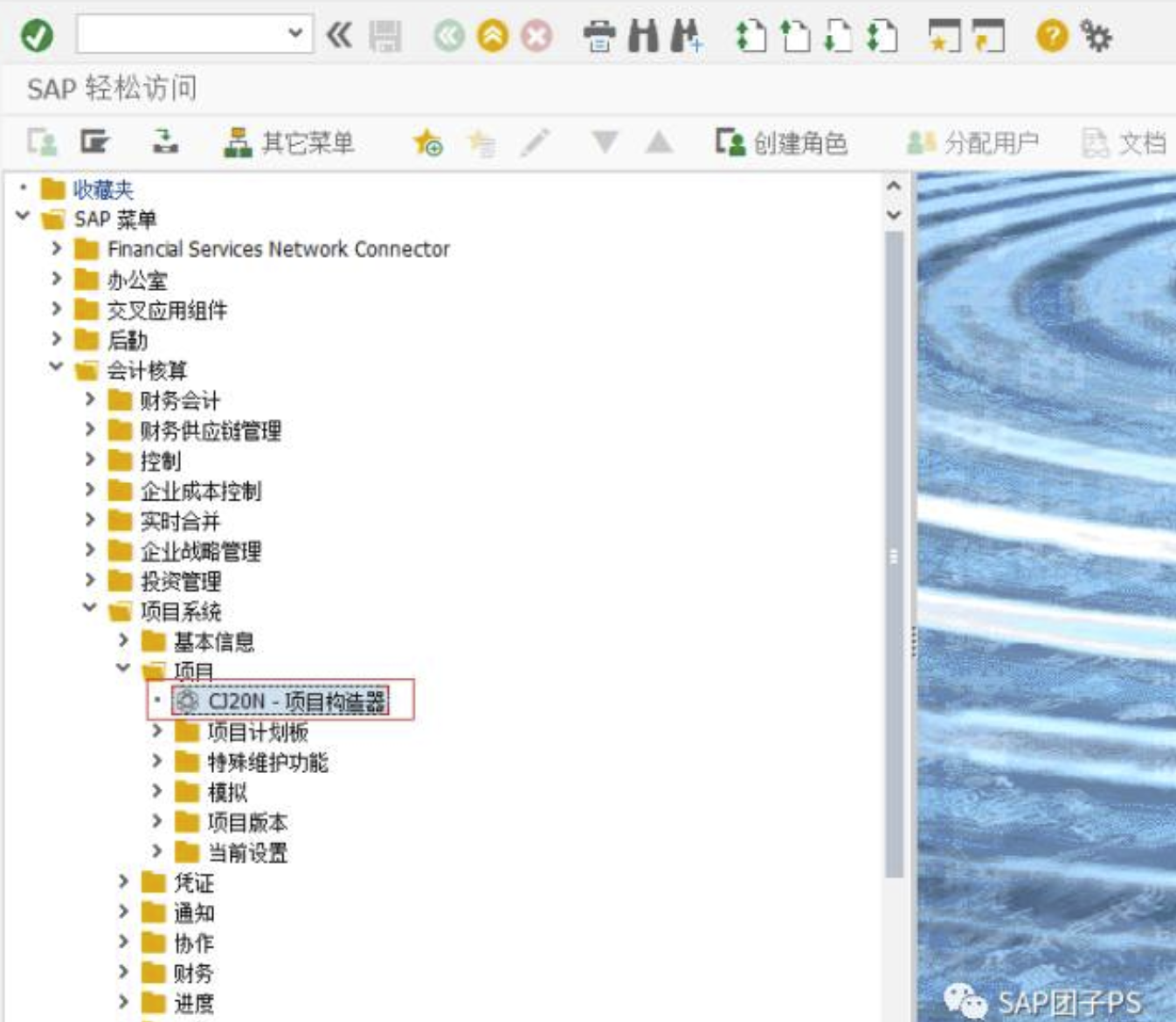 跟着团子学SAP PS-前台篇-创建项目定义 CJ20N_sap团子-CSDN博客