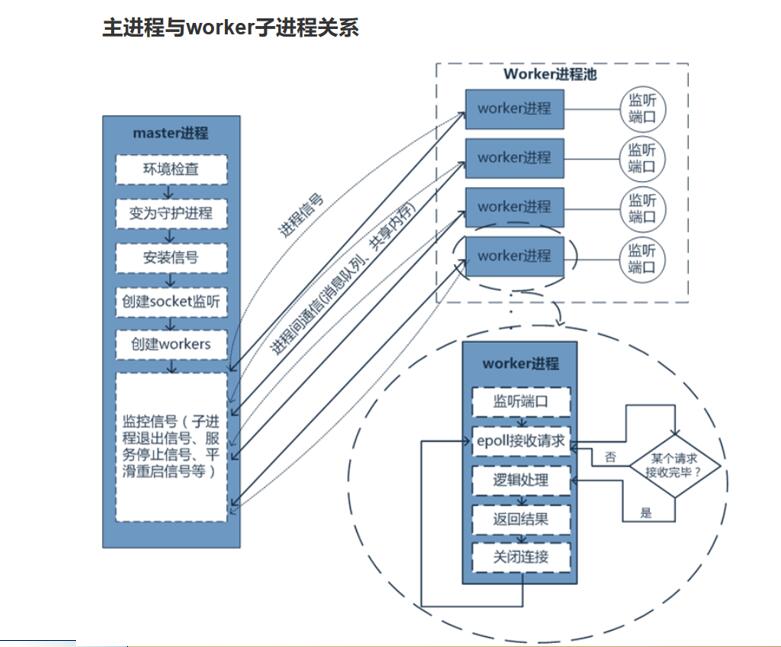 workerman介绍以及worker类使用_workerman中worker类的命名-CSDN博客
