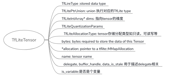 TFLite:代码分析(2):创建 interpreter_tflite::interpreterbuilder-CSDN博客