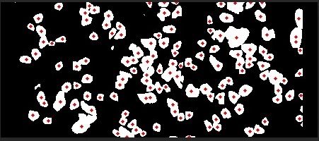 关于opencv4.1的dnn及findpeak二维极值_opencv findpeck-CSDN博客