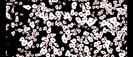 关于opencv4.1的dnn及findpeak二维极值_opencv findpeck-CSDN博客