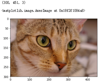 Python数据分析：scikit-image_skimage版本号-CSDN博客